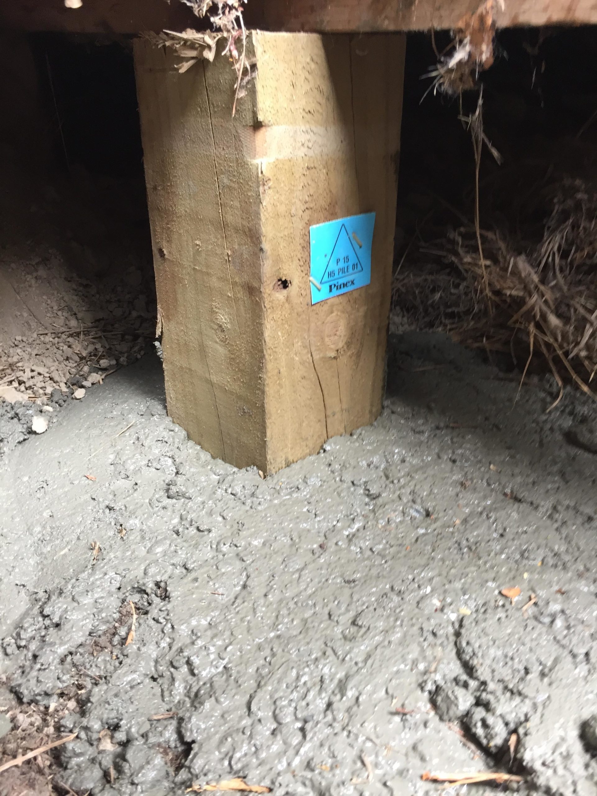 House Repiling Service | Christchurch | Heritage Relevellers